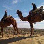 Desert Jeep Safari Tour From Jodhpur - Key Points
