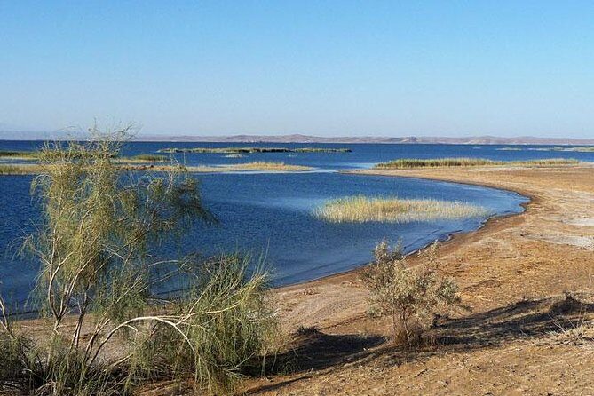 Desert Yurt Camp tour - 2 days (shared) - Practical Tips for Future Travelers