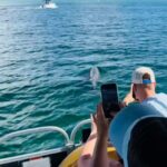 Destin: 90-Minute Boat Ride With Cruise Destin Bay - A Deep Dive into the Experience