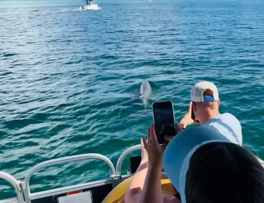 Destin: 90-Minute Boat Ride With Cruise Destin Bay - A Deep Dive into the Experience