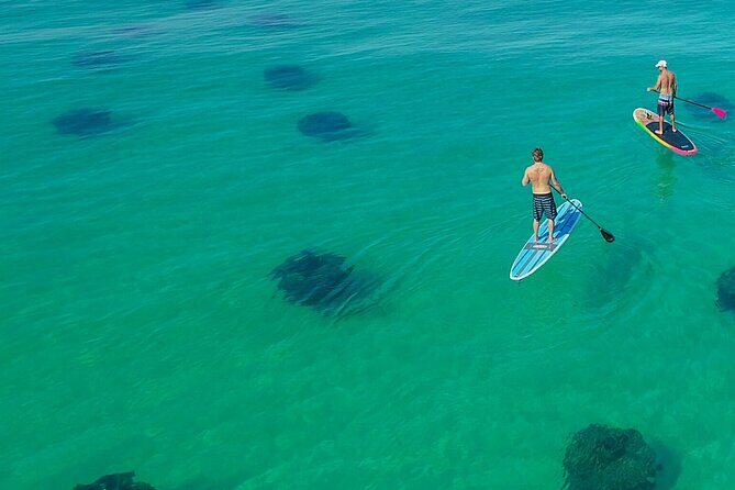 Destin Dolphin and Snorkeling Adventure Speedboat Tour - Who Should Book This Tour?