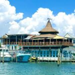 Destin Harbor Boat Ride and Dolphin Watching on the Hopper - Authentic Experiences and Traveler Insights