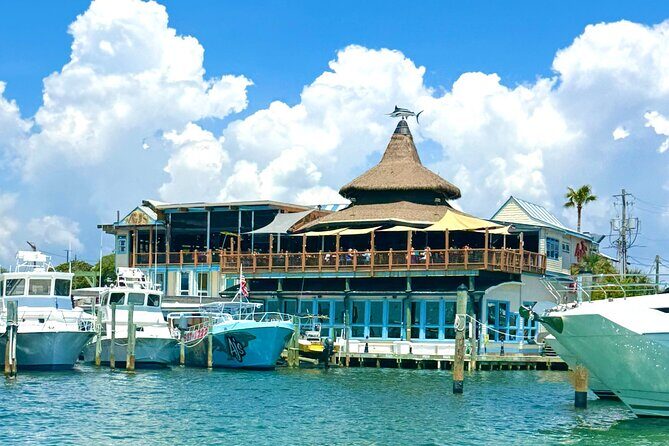 Destin Harbor Boat Ride and Dolphin Watching on the Hopper - Authentic Experiences and Traveler Insights