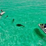 Destin Jet Ski Dolphin Tour with Gilligan's Watersports - Marine Wildlife and Scenic Views