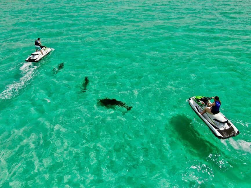 Destin Jet Ski Dolphin Tour with Gilligan's Watersports - Marine Wildlife and Scenic Views
