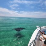 Destin: Private Morning Dolphin Cruise - Why Travelers Love It