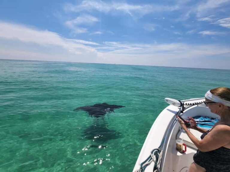Destin: Private Morning Dolphin Cruise - Why Travelers Love It