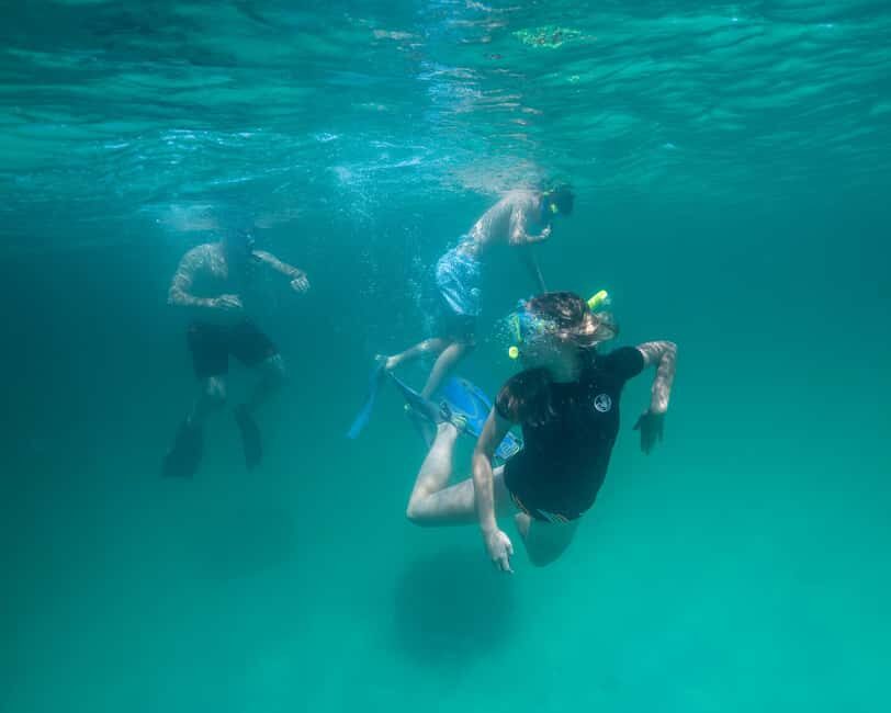 Destin: Reef Snorkeling Adventure - Final Thoughts: Is the Reef Snorkeling Adventure in Destin Worth It?