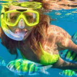 Destin: Snorkeling Cruise with 2 Stops and Dolphin Watching - An In-Depth Look at the Destin Snorkeling Cruise