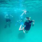 Destin: Snorkeling, Dolphins, and Crab Island - What Tour Reviews Say