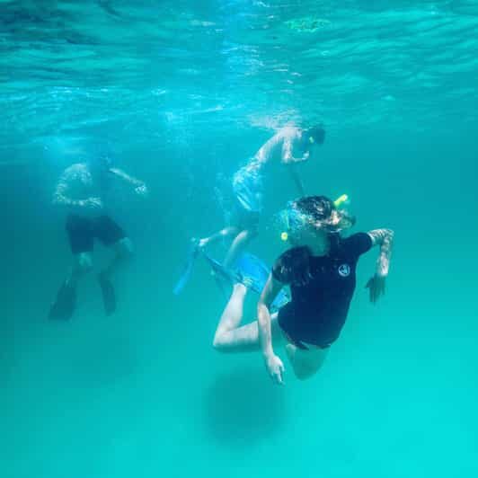 Destin: Snorkeling, Dolphins, and Crab Island - What Tour Reviews Say