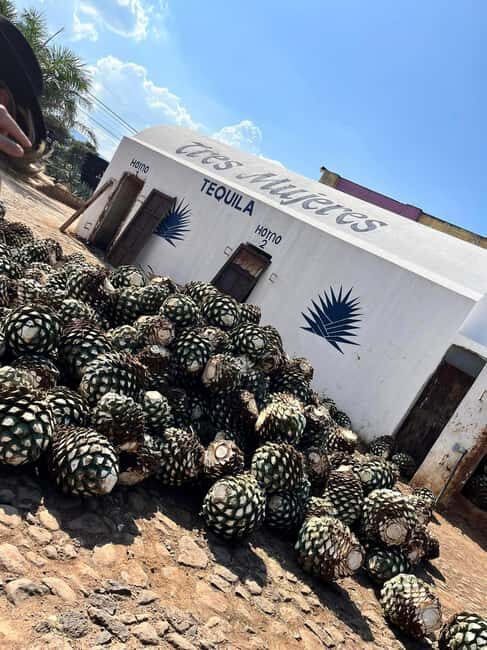 Destino Tequila: Experiencia Premier Privada - Why This Tour Excels — What You’ll Love