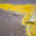 Devil's Bath Experience - Private Tour to Wai-O-Tapu & Lake Taupo - Wai-O-Tapu Thermal Wonderland