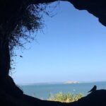 Devonport Volcanoes Afternoon Tour from Auckland - The Value of the Experience