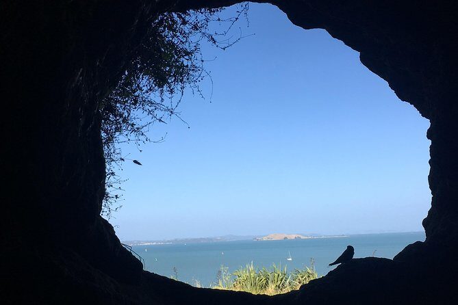 Devonport Volcanoes Afternoon Tour from Auckland - The Value of the Experience