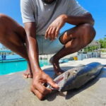Dhiffushi: Sport Fishing Big Game Fishing Maldives - Reviews and Authentic Experiences