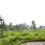 Dirt Bike Adventure at Kuta Lombok - What Makes This Tour Stand Out?