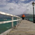 Discover Akaroa: Self Guided Audio Tour - Why This Tour Works and Who It’s For