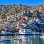 Discover Avalon: Catalina Scenic Tour - A Quick Overview of the Experience