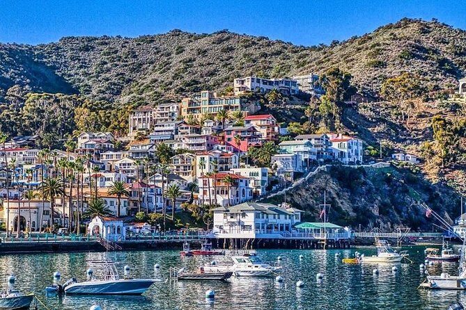 Discover Avalon: Catalina Scenic Tour - A Quick Overview of the Experience