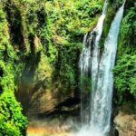 Discover Bali Your Way With Aman Bali Driver - What’s Included and How It Works