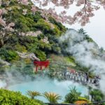Discover Beppu: Markets, Art, and Scenic Views - Practical Thoughts on the Tour