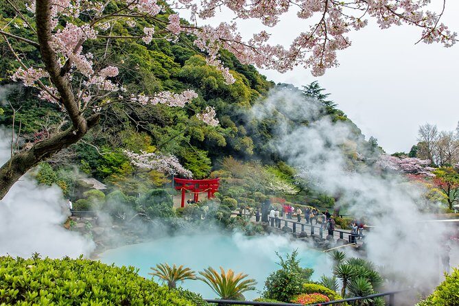 Discover Beppu: Markets, Art, and Scenic Views - Practical Thoughts on the Tour