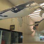 Discover Brisbane - Cultural - The Rationale Behind the Experience