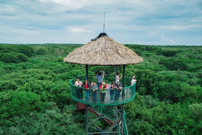 Discover Can Gio Mangrove Forest by Scooter full day tour from Ho Chi Minh city - Why This Tour Might Be Perfect for You