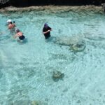 Discover Cascades & Turtle Experience with Yumi Tours - Authentic Experiences & Practical Advice