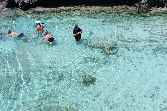 Discover Cascades & Turtle Experience with Yumi Tours - Authentic Experiences & Practical Advice