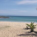 Discover Coral Coast & Natadola Beach Tour - Itinerary in Detail