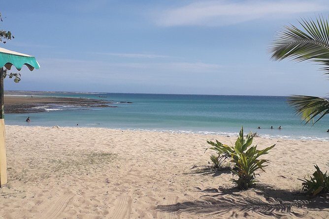 Discover Coral Coast & Natadola Beach Tour - Itinerary in Detail
