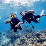 Discover Diving in the Reefs of Cozumel - Authentic Experiences from Previous Participants