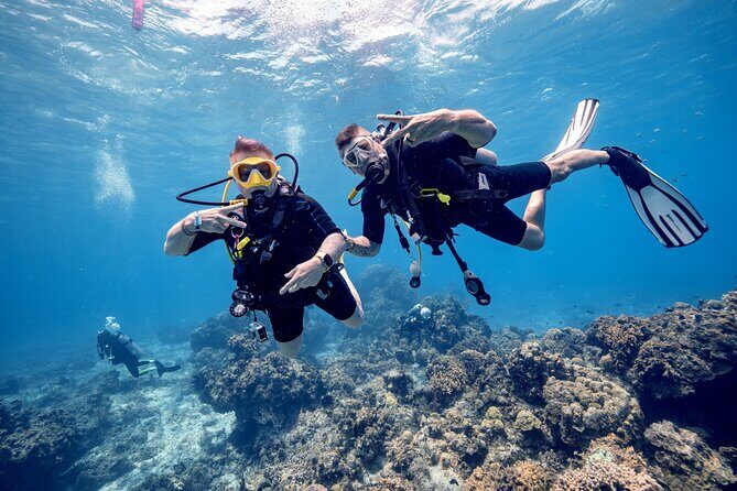 Discover Diving in the Reefs of Cozumel - Authentic Experiences from Previous Participants
