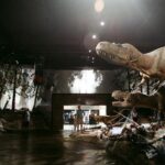 Discover Drumheller, Horseshoe Canyon, Royal Tyrrell Museum - Deep Dive into the Itinerary