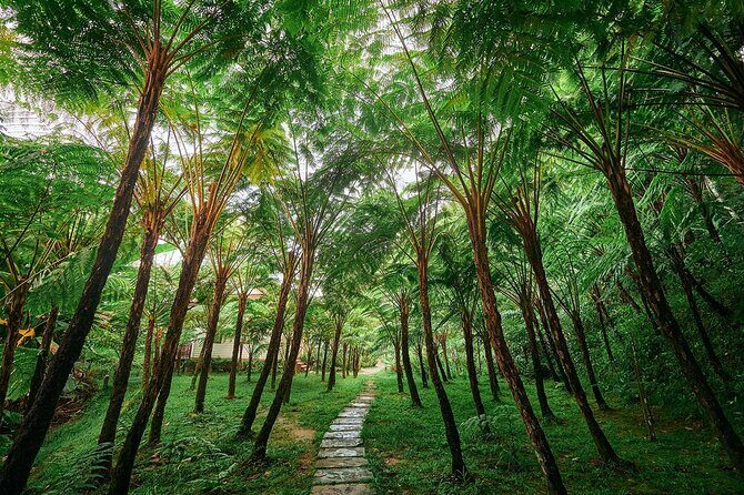 Discover Full Day Tour Doi Inthanon National Park from Chiang Mai - The Price: Is It Worth It?