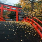 Discover Kyoto by Bike: Authentic Half Day Tour - Final Thoughts