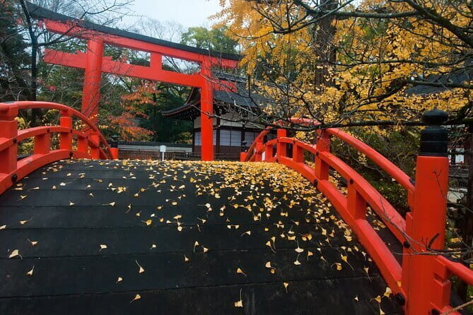 Discover Kyoto by Bike: Authentic Half Day Tour - Final Thoughts
