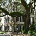 Discover Lesser Known Stories on the Hidden Savannah Walking Tour - Key Points