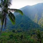 Discover Lovina and sekumpul waterfall - Final Thoughts: Is It Worth It?