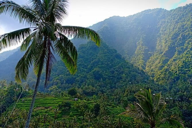 Discover Lovina and sekumpul waterfall - Final Thoughts: Is It Worth It?