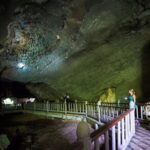 Discover Mangrove Forest and Cave Tour in Langkawi (Shared Tour) - Why This Tour Is a Good Deal