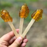 Discover Maple Sugar Bush Tour - Frequently Asked Questions
