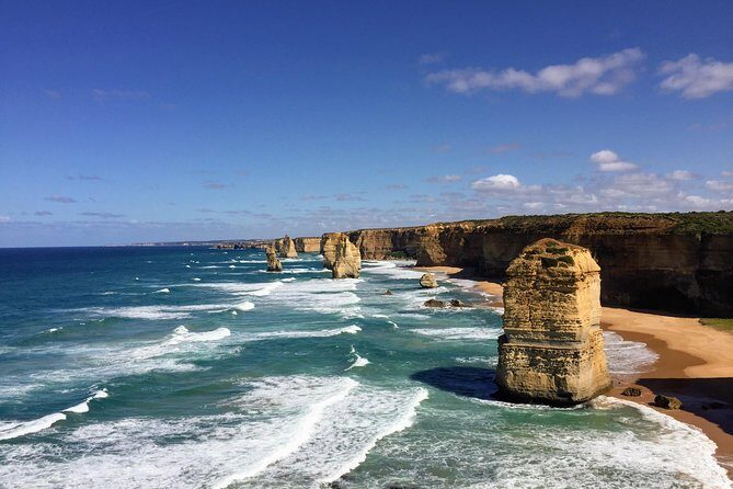 Discover Melbourne City and Penguin Parade Eco Tour - Practical Details: What to Expect