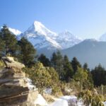 Discover Nepal: 12 Day Trekking and Wildlife Expedition - Day 3 & 4: Transition to Wilderness at Chitwan