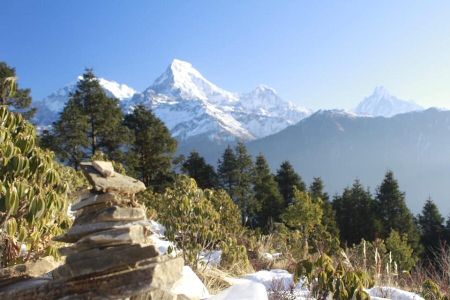 Discover Nepal: 12 Day Trekking and Wildlife Expedition - Day 3 & 4: Transition to Wilderness at Chitwan