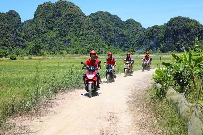 Discover Ninh Binhs Highlights Hidden Gems 1 Day Motorbike Tour - What Makes This Tour Stand Out?