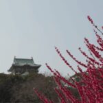 Discover Osaka:Private Walking Tour of the Citys Best Spots - FAQ