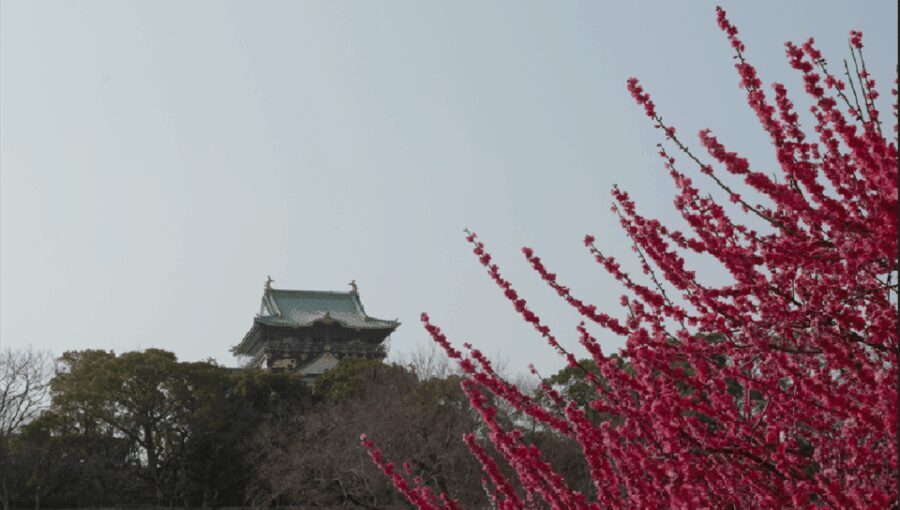 Discover Osaka:Private Walking Tour of the Citys Best Spots - FAQ